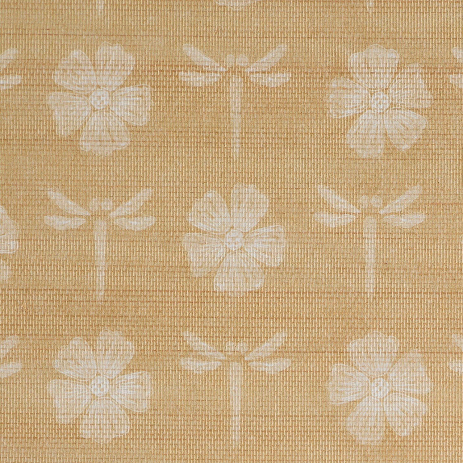 Dragonfly-Wallpaper- Jennifer Shorto